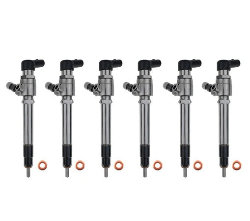 Diesel Injector Set for Ford Territory Lion V6 - OEM – ozautosport
